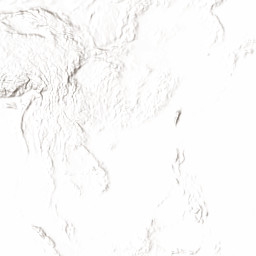 Modified Monash Model 2023