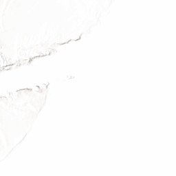 National Rabies Control Programme (NRCP)