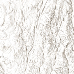 ArcGIS Web Application