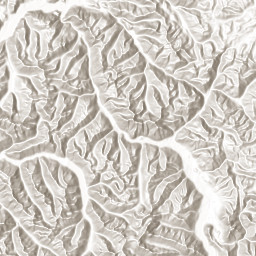 ArcGIS Web Application