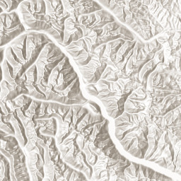 ArcGIS Web Application