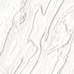 ArcGIS Web Application