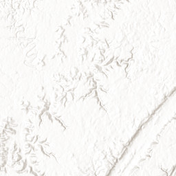 Davidson County Boundary