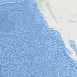 LIVE WHALE TRACKER WITH THE W&D TRACKER BY PACIFIC WHALE FOUNDATION ...