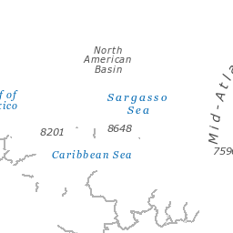 Ocean Basemap