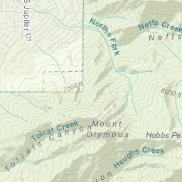 ArcGIS Web Application